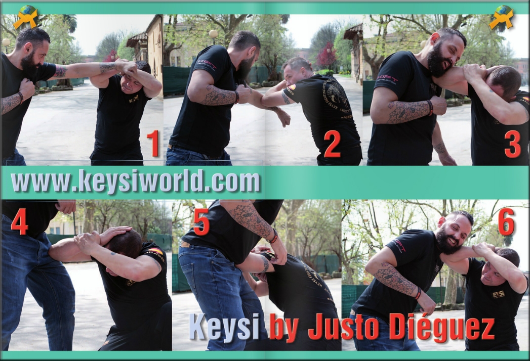 Press – Keysi World